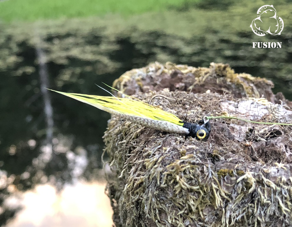 Fly Fusion – FISHIN ADDICT