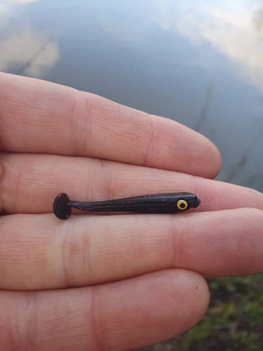 LRF (Light Rock Fishing) – Exploring Light Rock Fishing: A Beginner’s Guide
